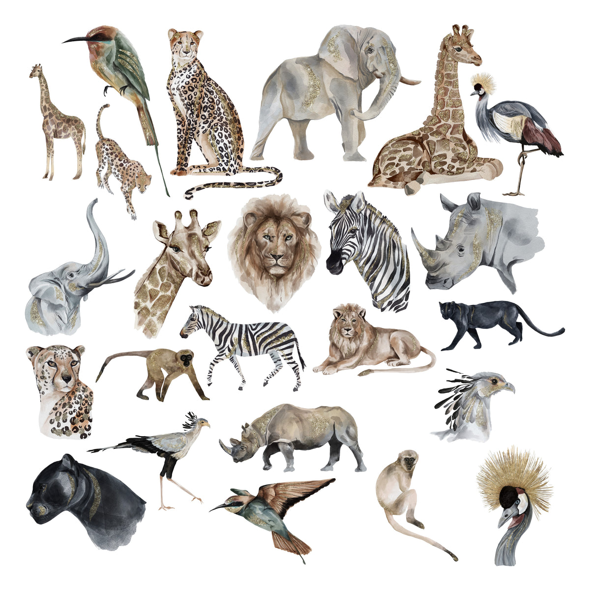 Animal Kingdom Animals Ephemera – simplystateddesign