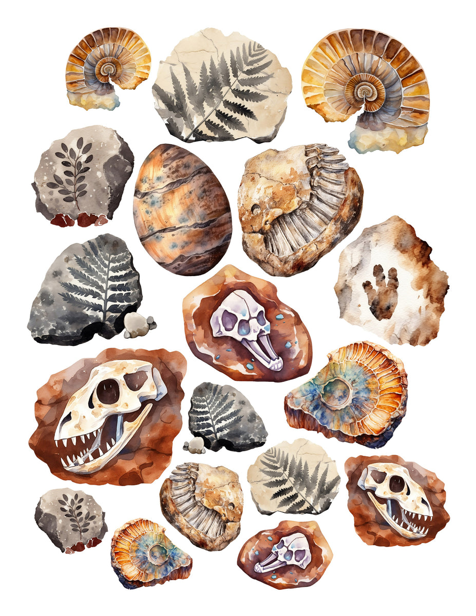Stone Age Fossils Ephemera – simplystateddesign