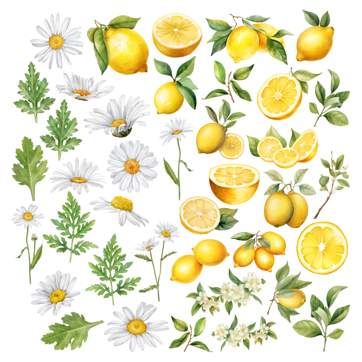 Lemon Squeeze Single Ephemera – simplystateddesign
